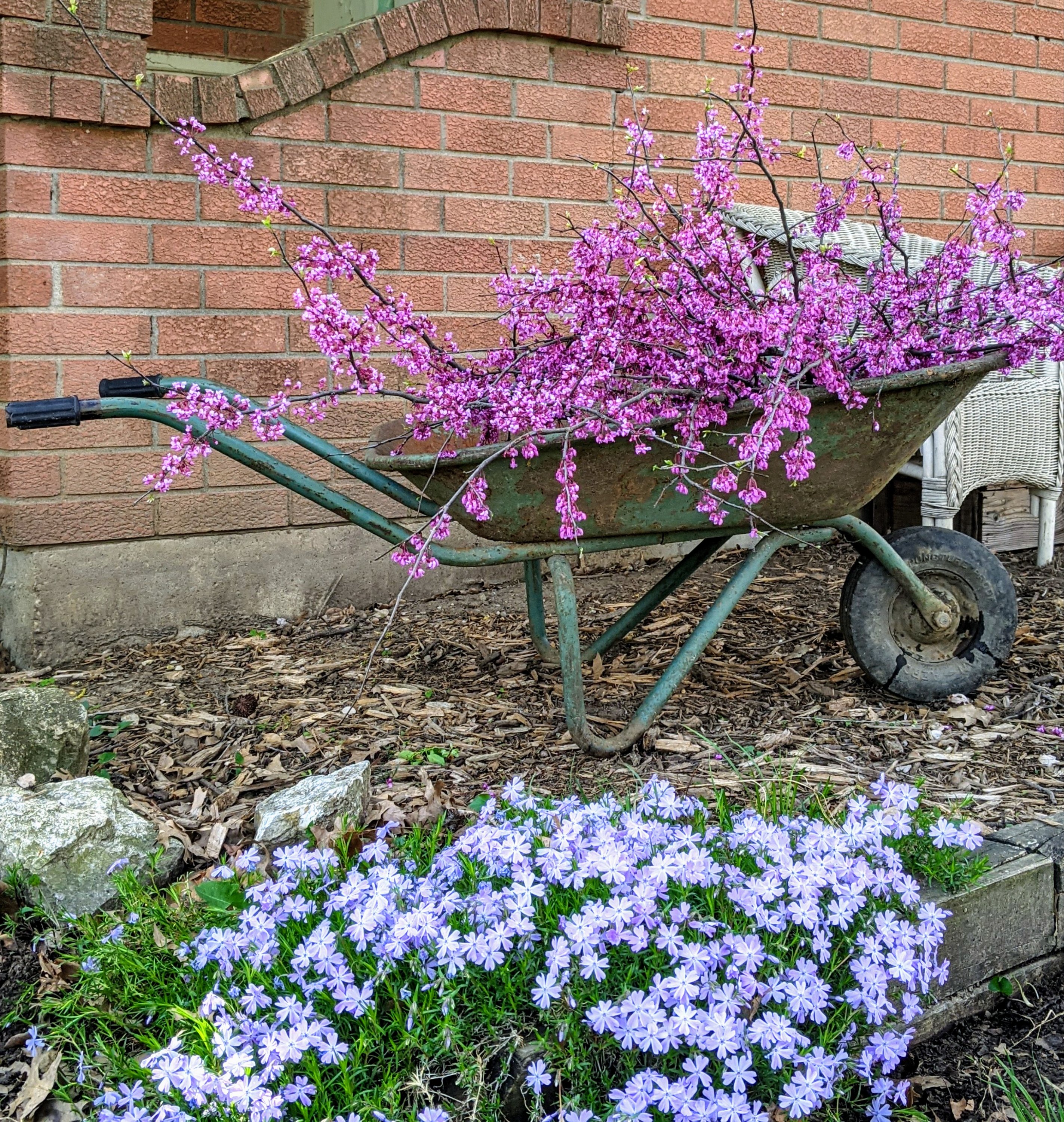 33 Ideas Using Repurposed, Upcycled Vintage Finds For Your Flowers ...