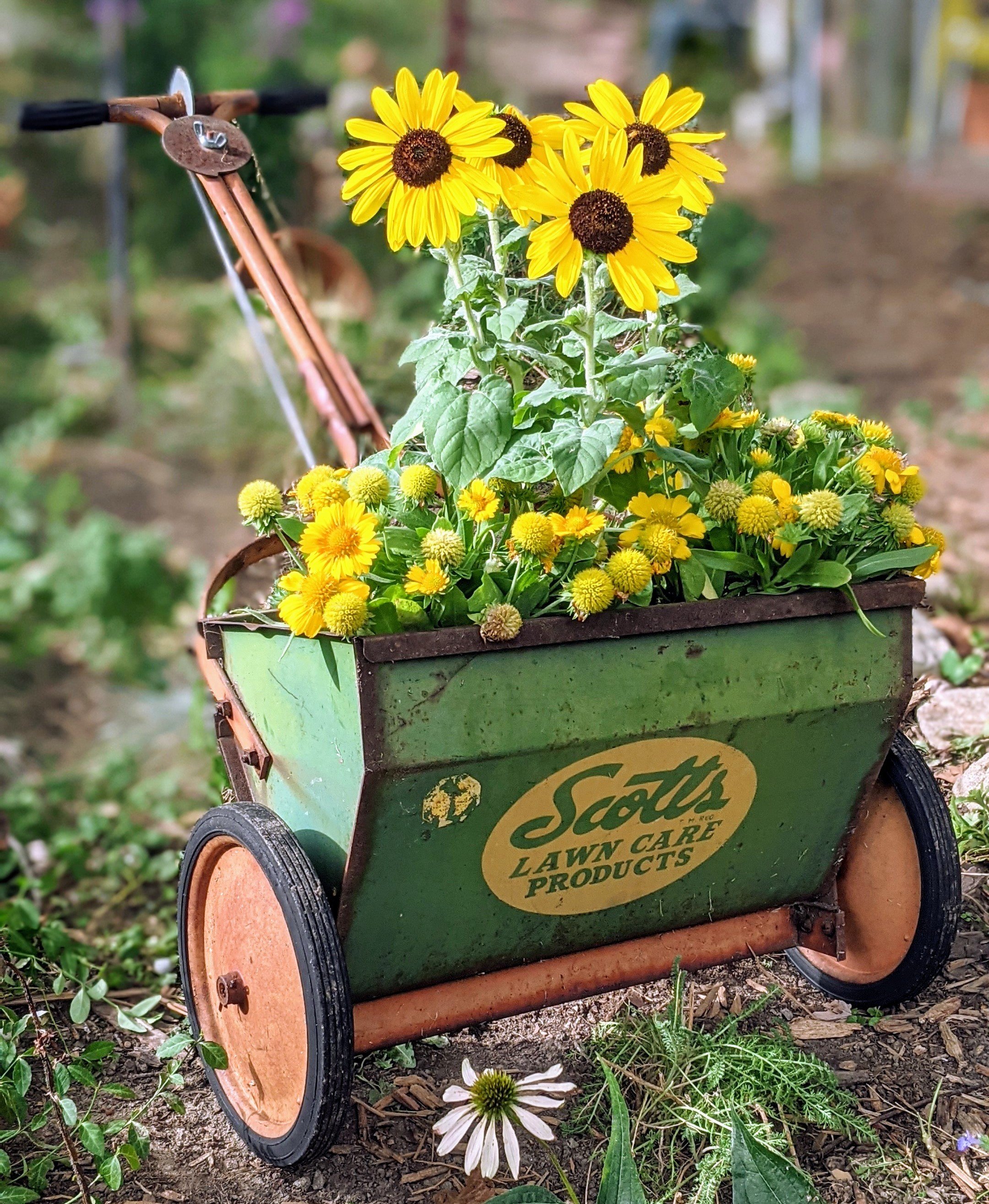 33 Ideas Using Repurposed, Upcycled Vintage Finds For Your Flowers ...