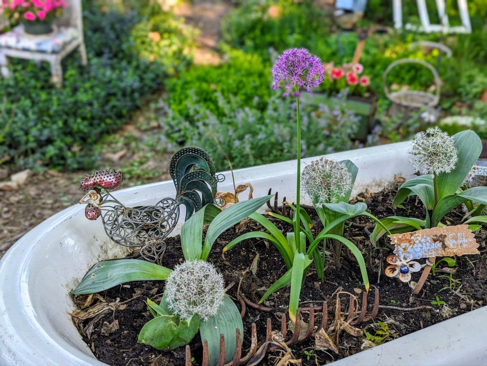 Comfy Lane Cottage Spring Gardens… My Repurposed, Upcycled, & Flea ...