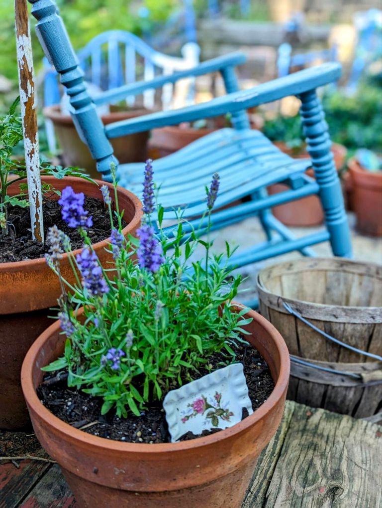Comfy Lane Cottage Spring Gardens… My Repurposed, Upcycled, & Flea ...
