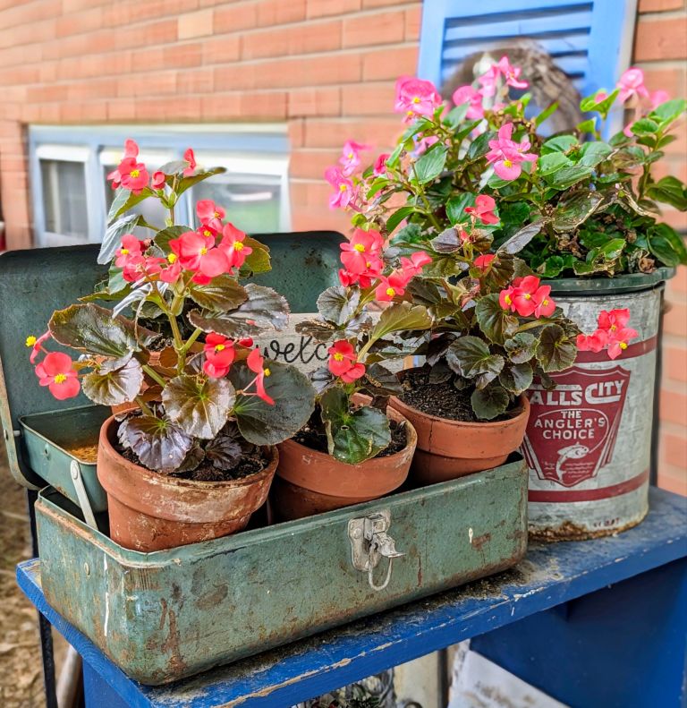 Comfy Lane Cottage Spring Gardens… My Repurposed, Upcycled, & Flea ...